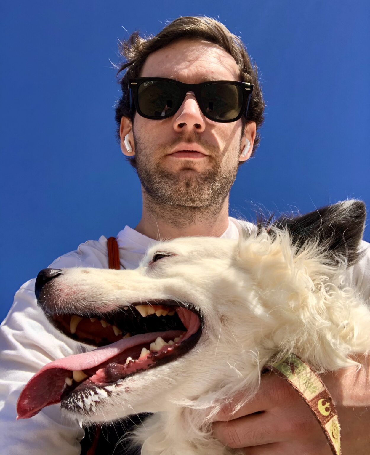 TryHackMe CTF Collection – Dotwut.io